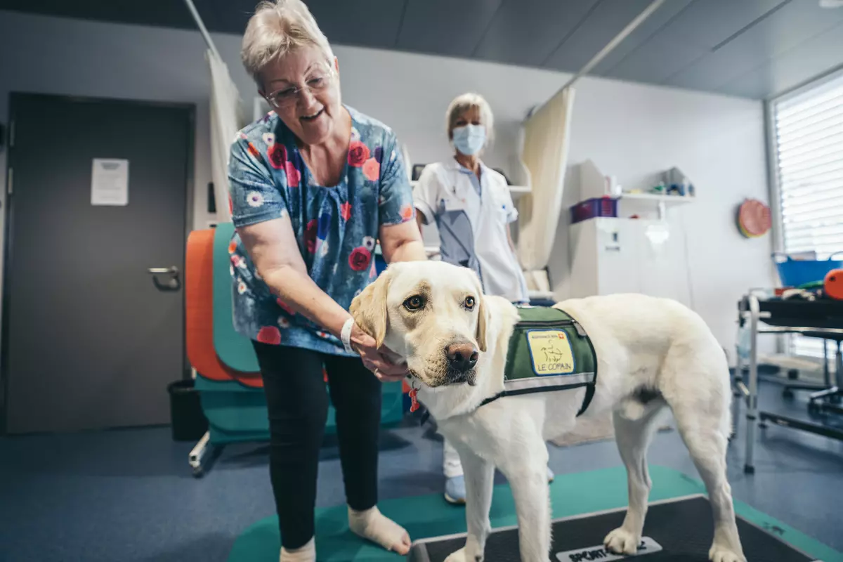 Chien thérapeute - Les News chiens et chats