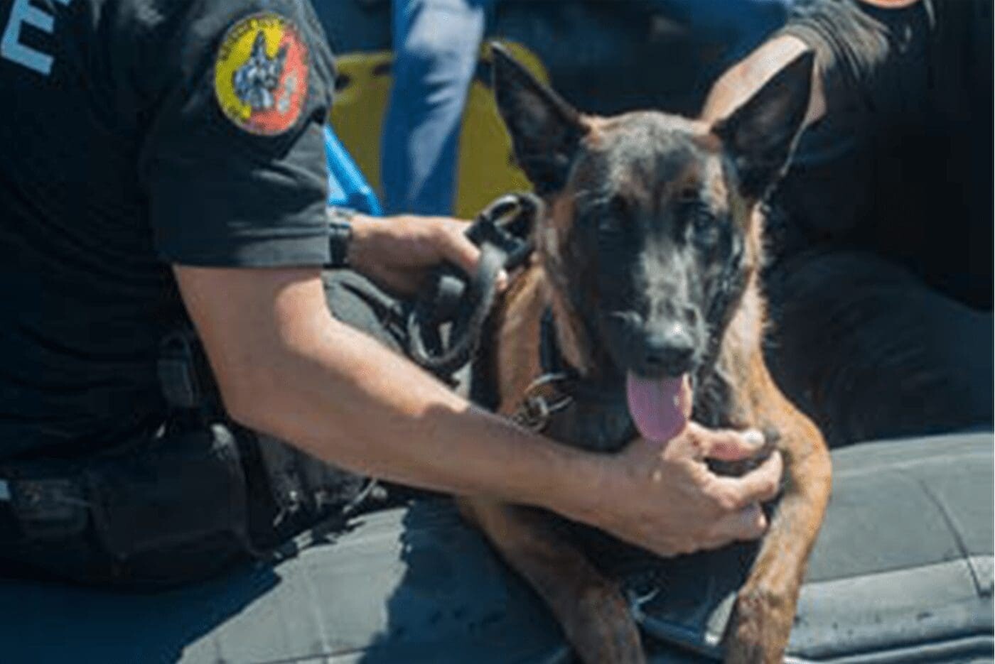 Brigade canine de Genève - Les News chiens et chats