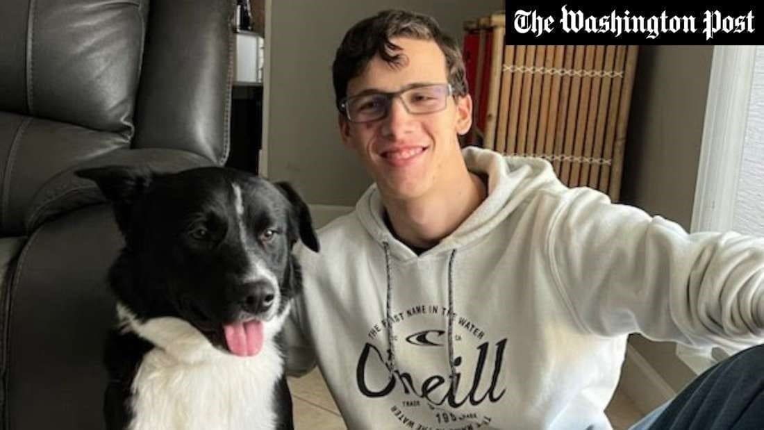 Un adolescent doit la vie à son border collie - Les News chiens et chats