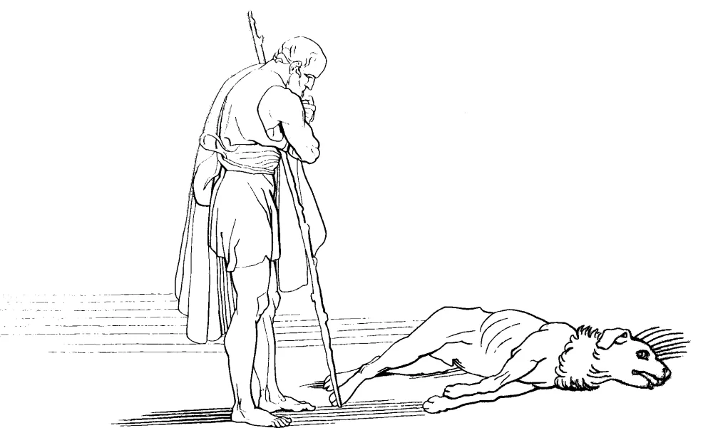 Argos, symbole de l’amitié et de la fidélité dans l’Odyssée d’Ulysse ...