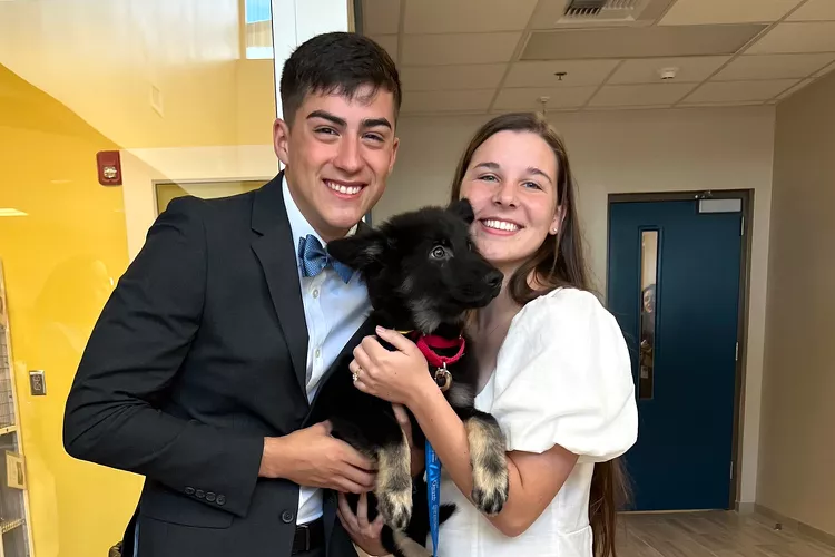 Prioriser le chien au mariage : Adoption de Daisy le Berger Allemand ...