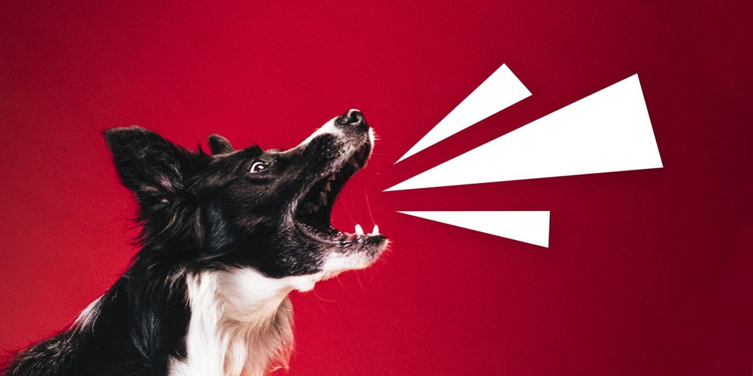 Les chiens dans l'art : 10 peintures célèbres et emblématiques - Les ...